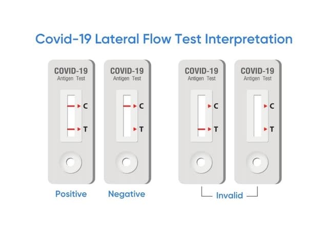 Lateral Flow Test Guide: How Do Lateral Flow Tests Work | Blog | Medicspot