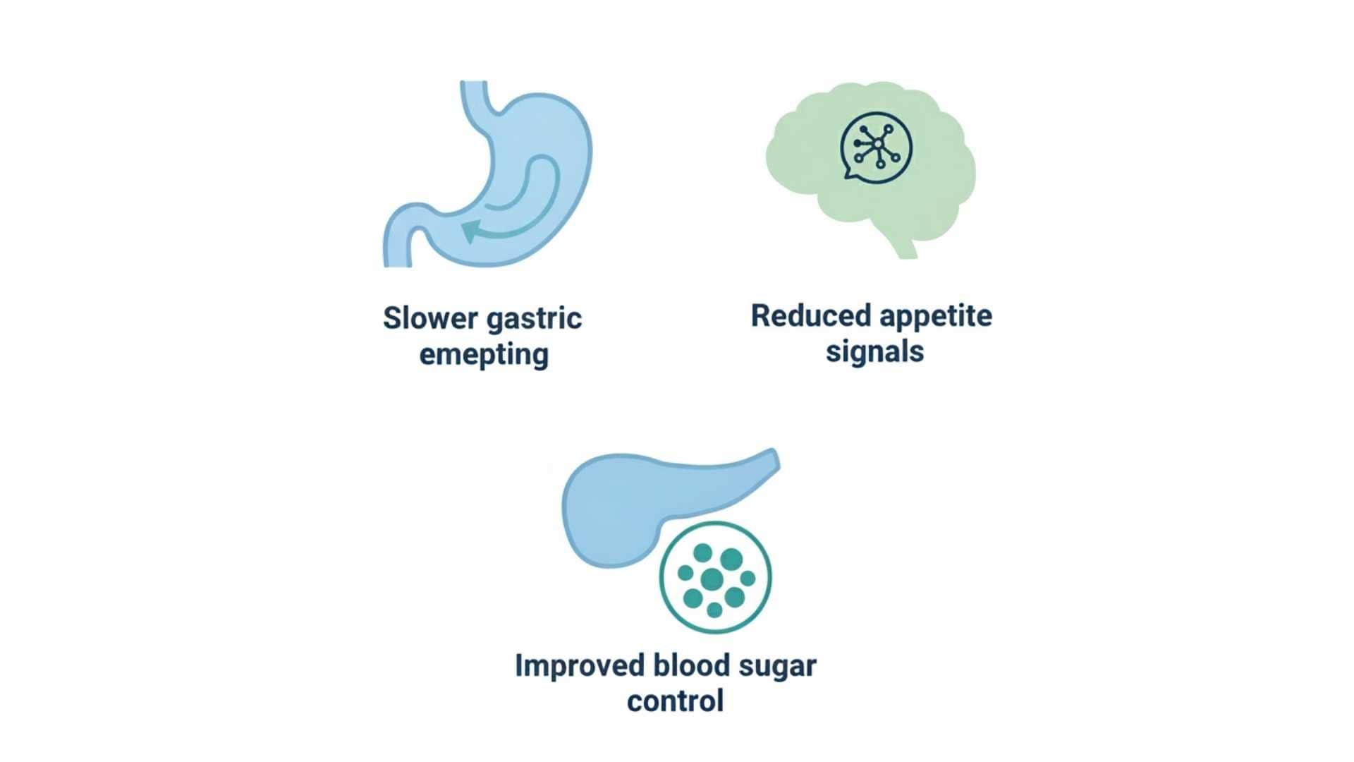 How Wegovy Works | The Complete Guide to Semaglutide